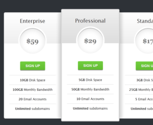 CSS3 Pricing Table for Your Website: A Guide
